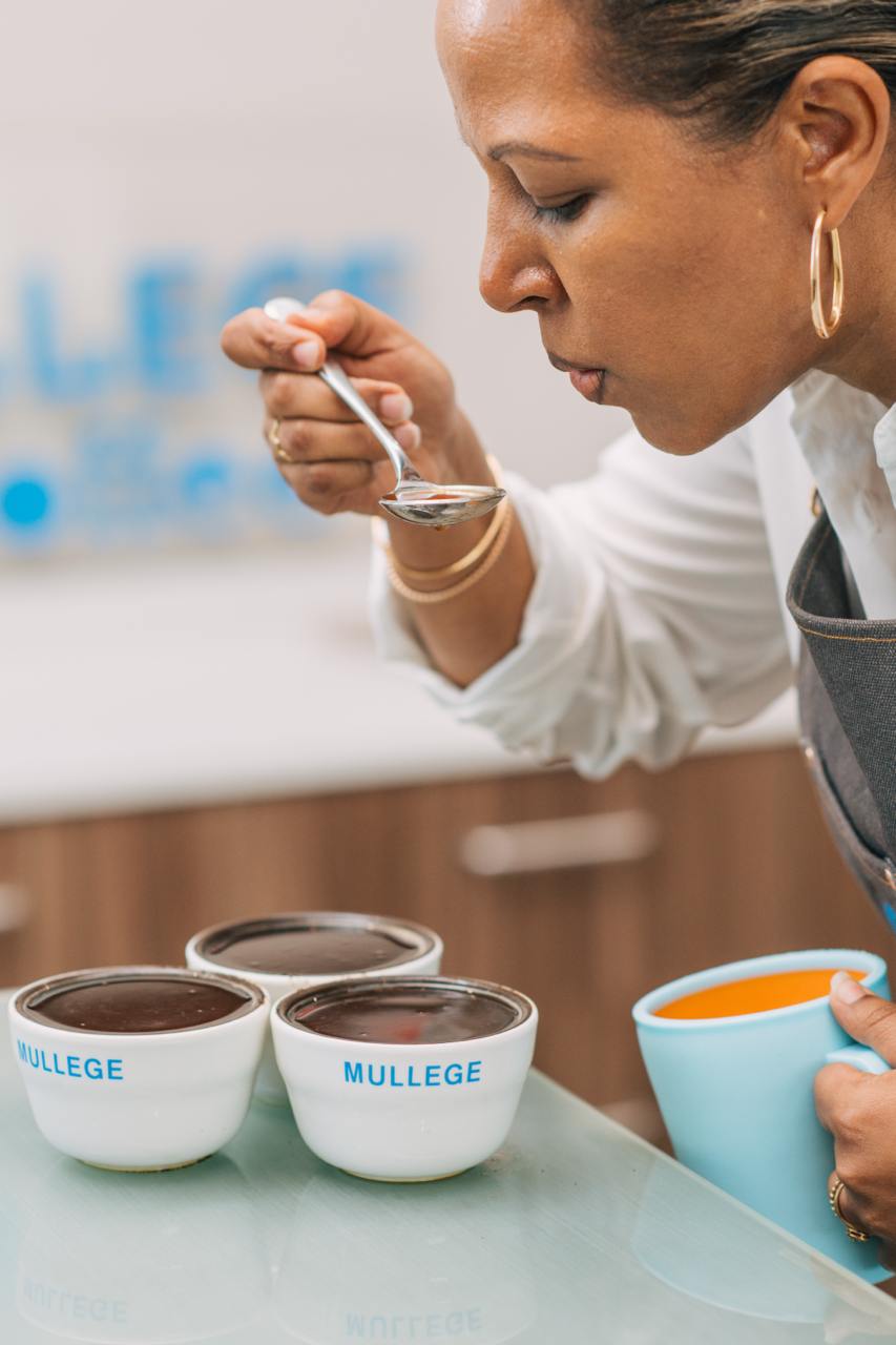 Gallery – Mullege PLC